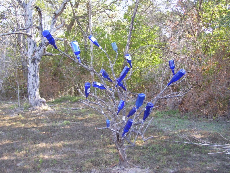 DIY bottle tree? : r/Homebrewing